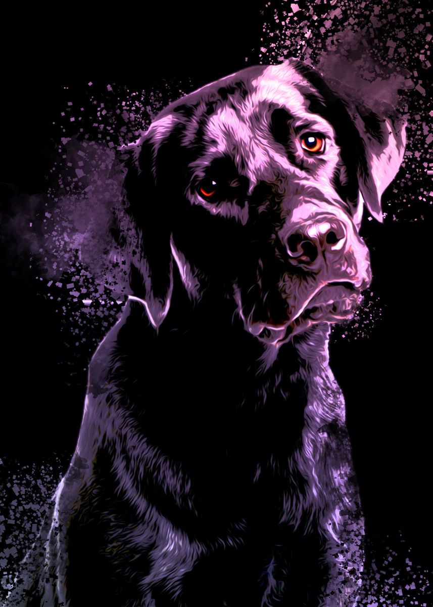 'Black Labrador' Poster, picture, metal print, paint by Emma Parrish ...