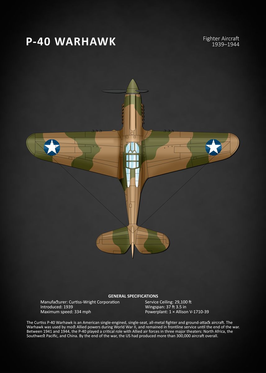 'P40 Warhawk' Poster, picture, metal print, paint by RogueDesign | Displate