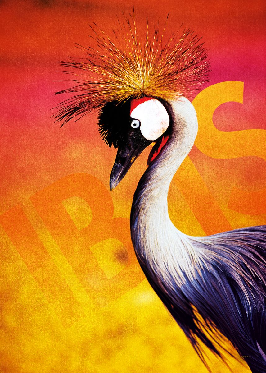 'Ibis' Poster, picture, metal print, paint by Animal Planet | Displate