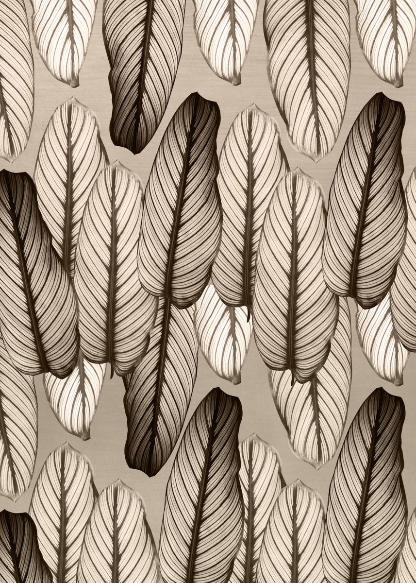 'Calathea Leaves Pattern 2' Poster, picture, metal print, paint by ...