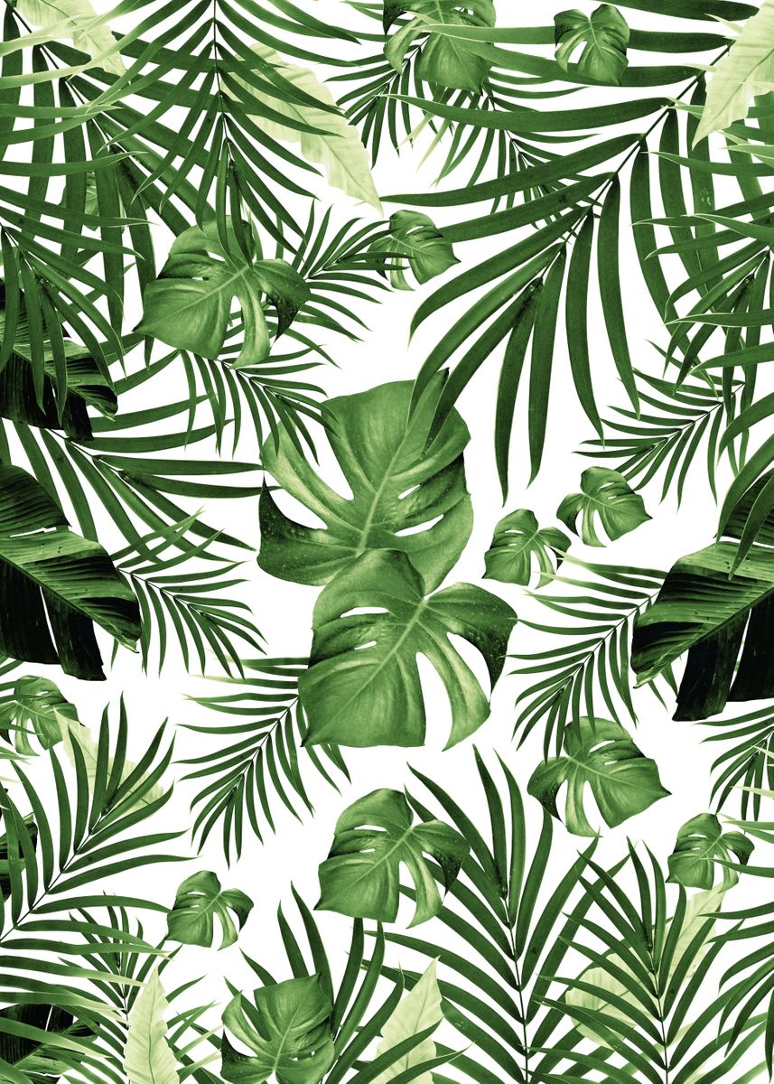 'Tropical Jungle Leaves 12' Poster, picture, metal print, paint by ...