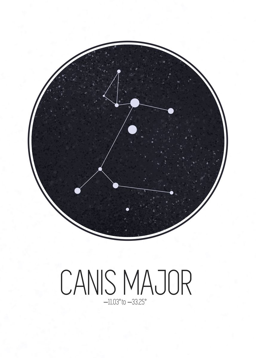 'Canis Major' Poster by Mel Rod | Displate