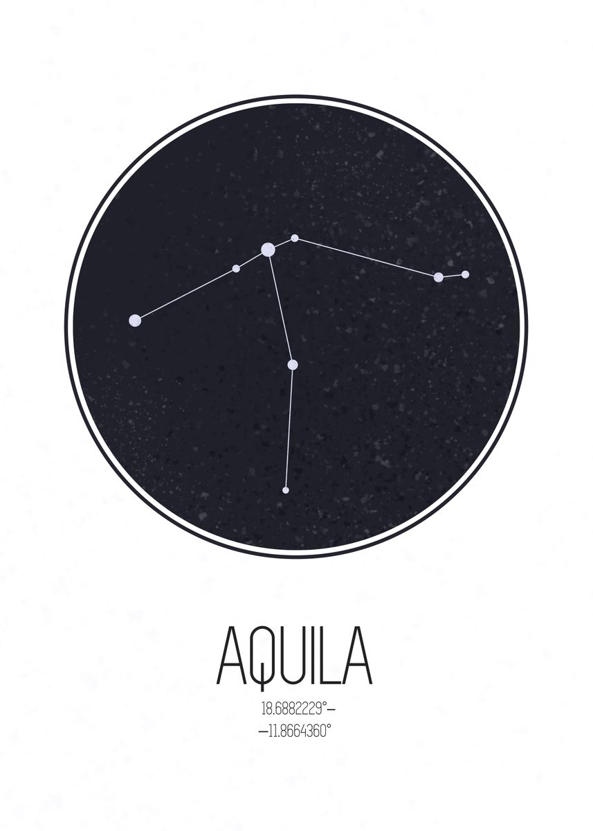 'Aquila' Poster, picture, metal print, paint by Mel Rod | Displate
