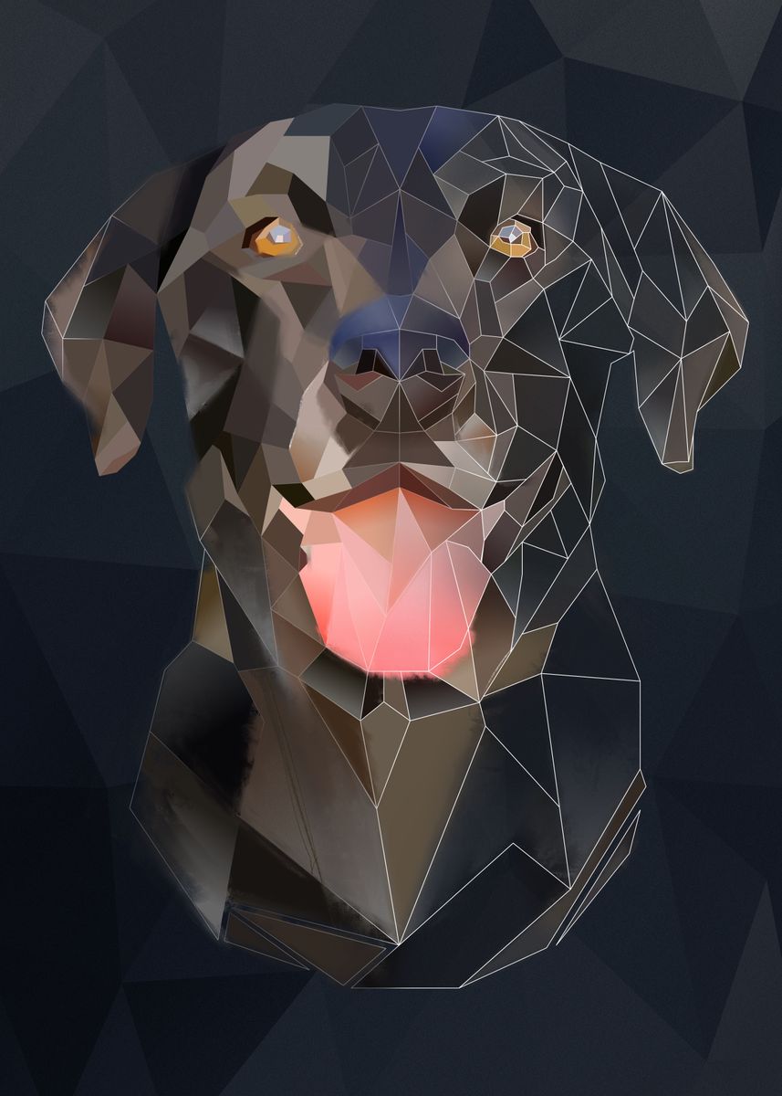 'Dog' Poster, picture, metal print, paint by Tomasz Dąbek | Displate