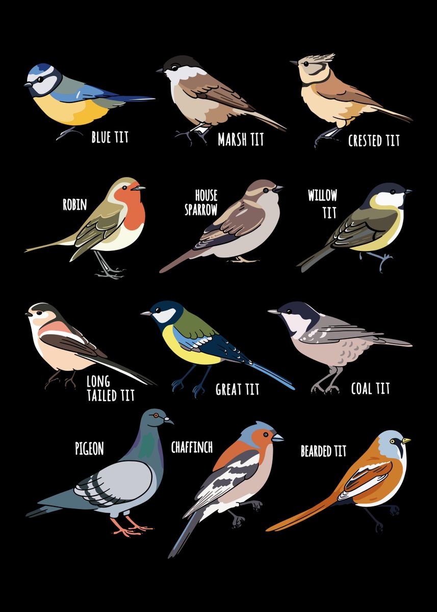 'Birdwatching Birder Gift' Poster, picture, metal print, paint by Phil ...