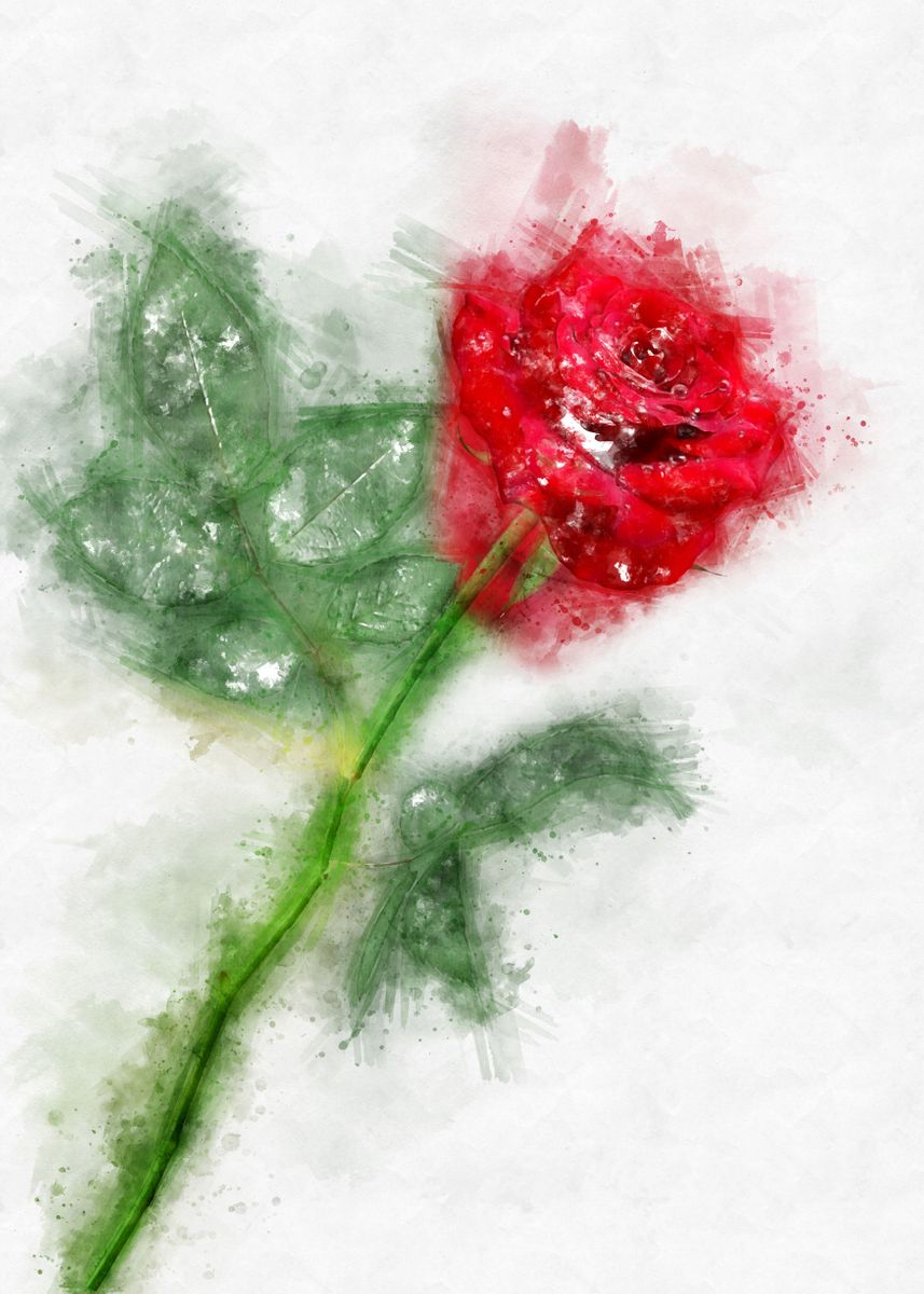 'watercolor red rose' Poster, picture, metal print, paint by shiner ...