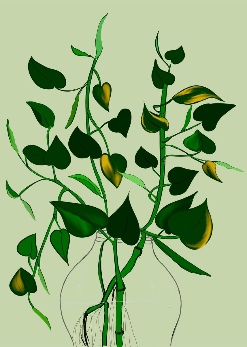 'Pothos' Poster, picture, metal print, paint by veena acharya | Displate