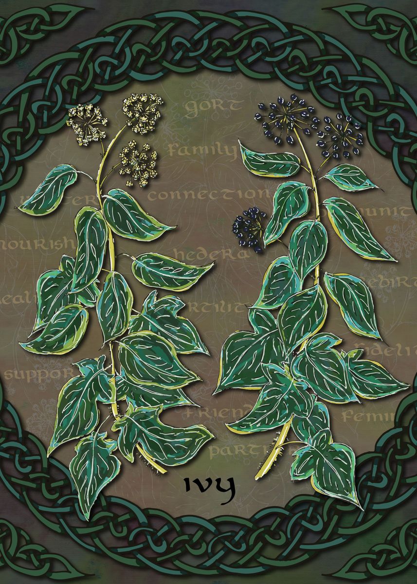 'Celtic Ivy' Poster, picture, metal print, paint by Lotti Brown | Displate