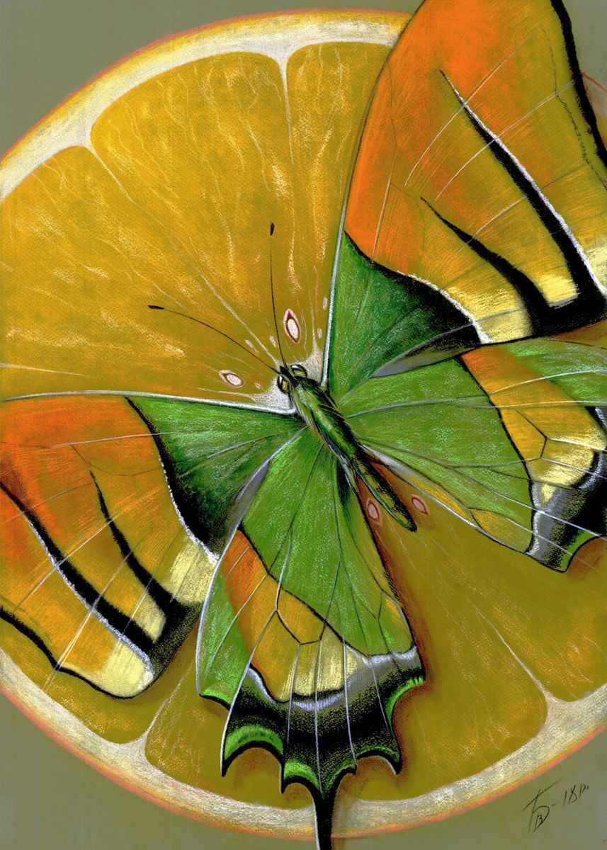 'Butterfly' Poster by Viktor Babak | Displate