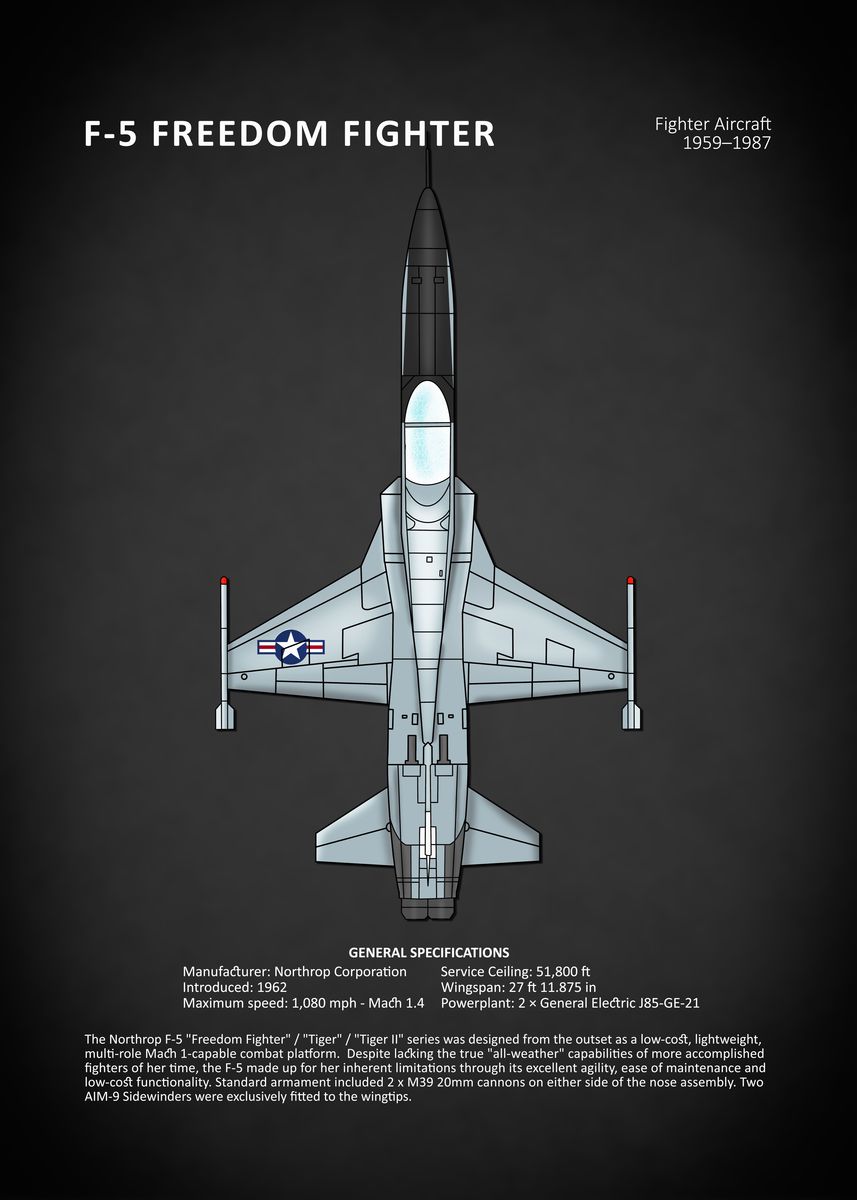 'The F5 Freedom Fighter' Poster, picture, metal print, paint by ...