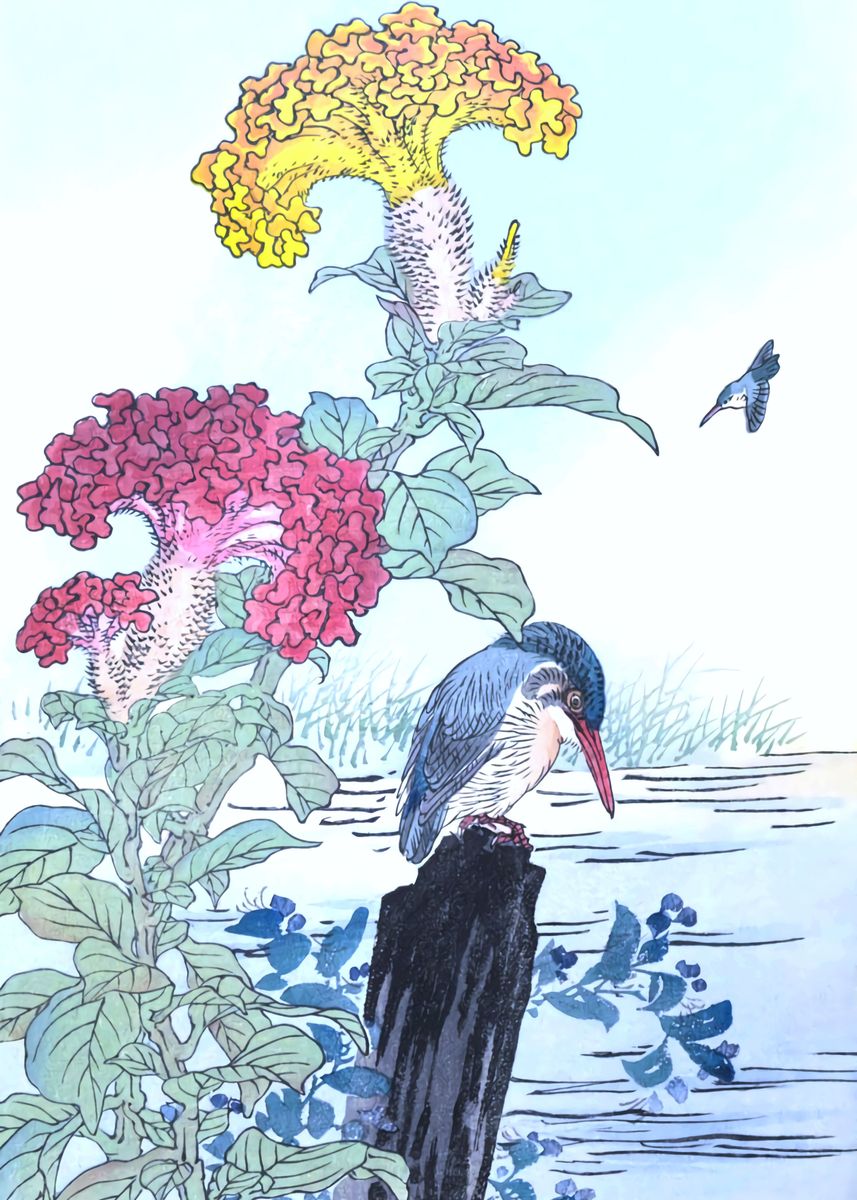 'Kingfishers And Cockscombs' Poster by Makanaki | Displate