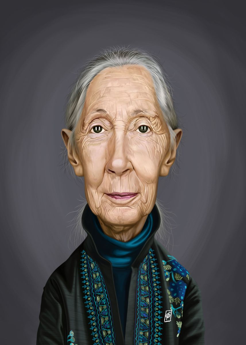 'Jane Goodall' Poster, picture, metal print, paint by rob art ...