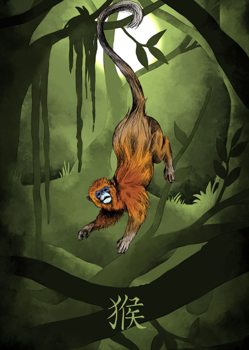 'Chinese Zodiac The Monkey' Poster by AniaArt | Displate