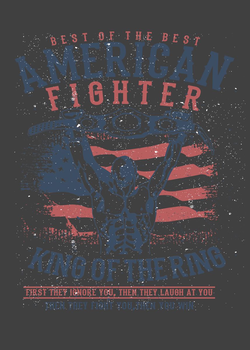 'American Fighter' Poster by Florian Dold | Displate