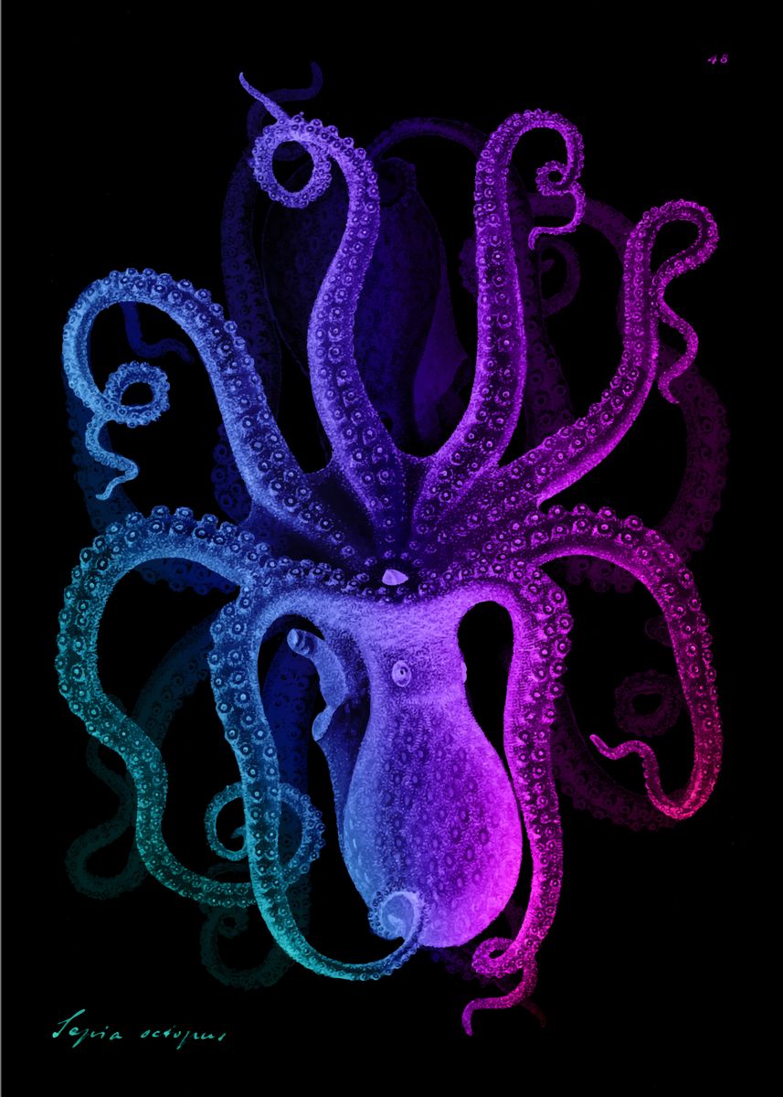 'Rainbow Octopus' Poster by Sciencedecomptoir | Displate