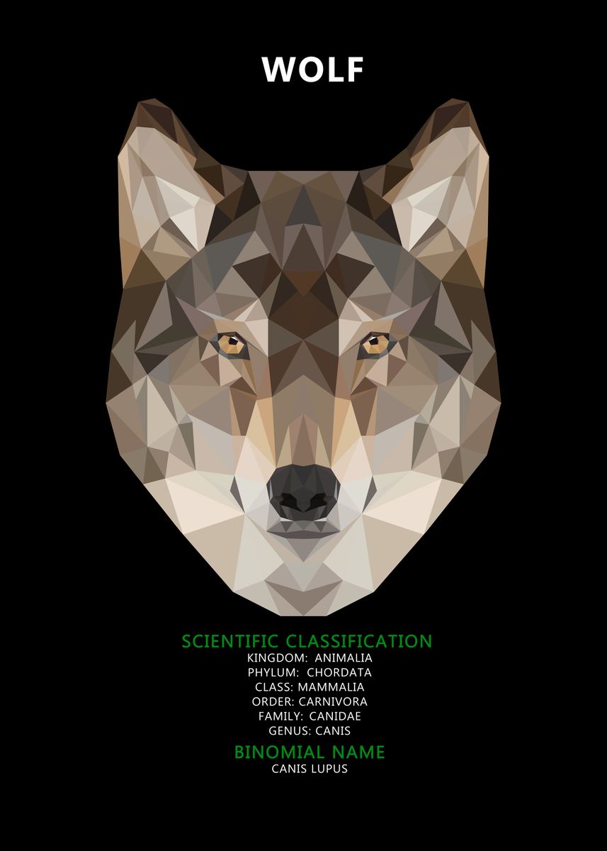 'Wolf' Poster, picture, metal print, paint by MyDigitalMind | Displate