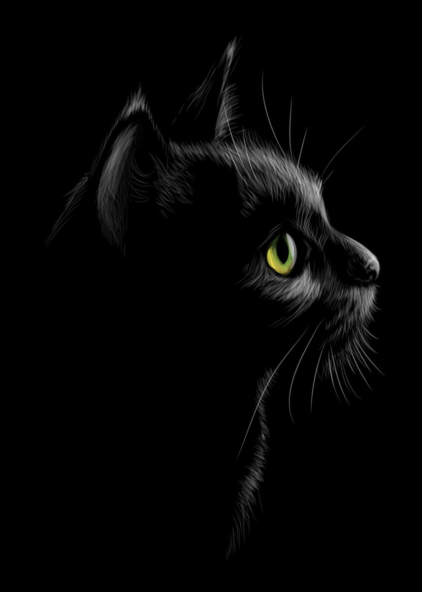 'Black Cat' Poster, picture, metal print, paint by The Matrix | Displate