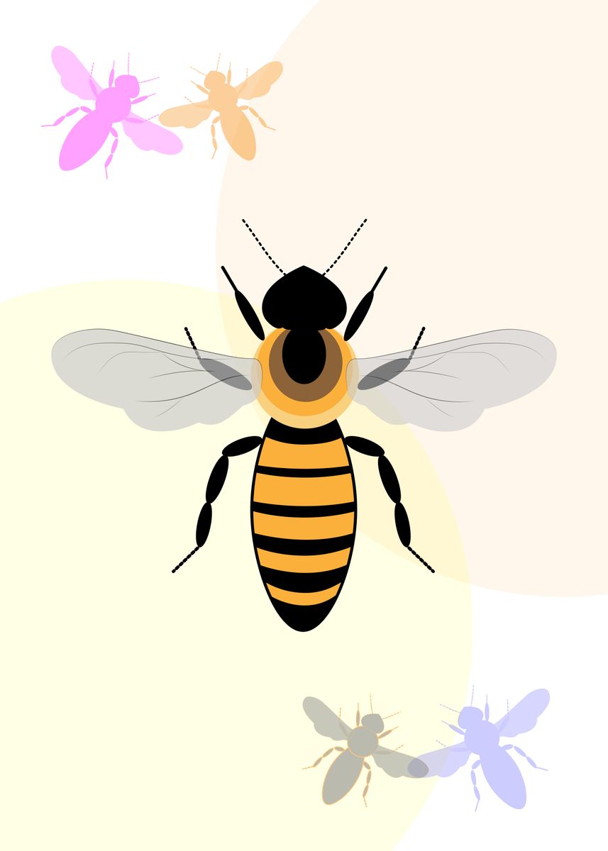 'Bee Illustration' Poster by Alexandria Frances Clow | Displate