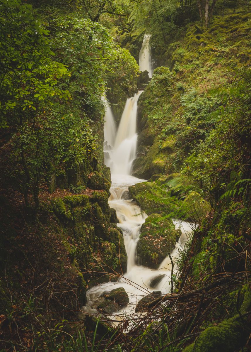 'Ghyll Force Waterfall' Poster, picture, metal print, paint by Scott ...