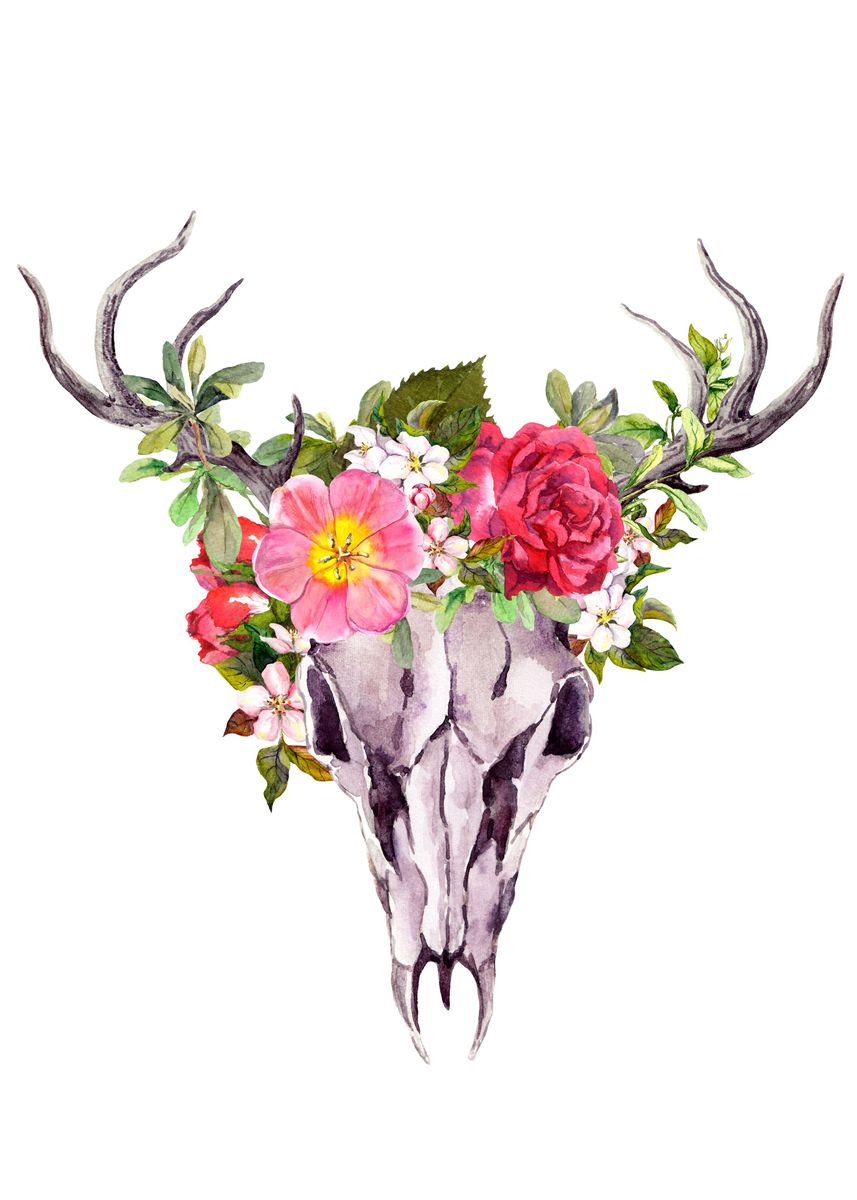 'Skull Flower' Poster by The Matrix | Displate