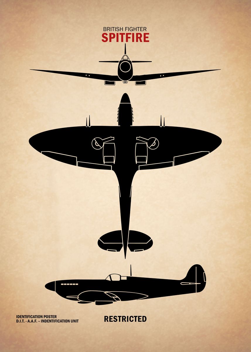 'Spitfire Identification' Poster, picture, metal print, paint by ...