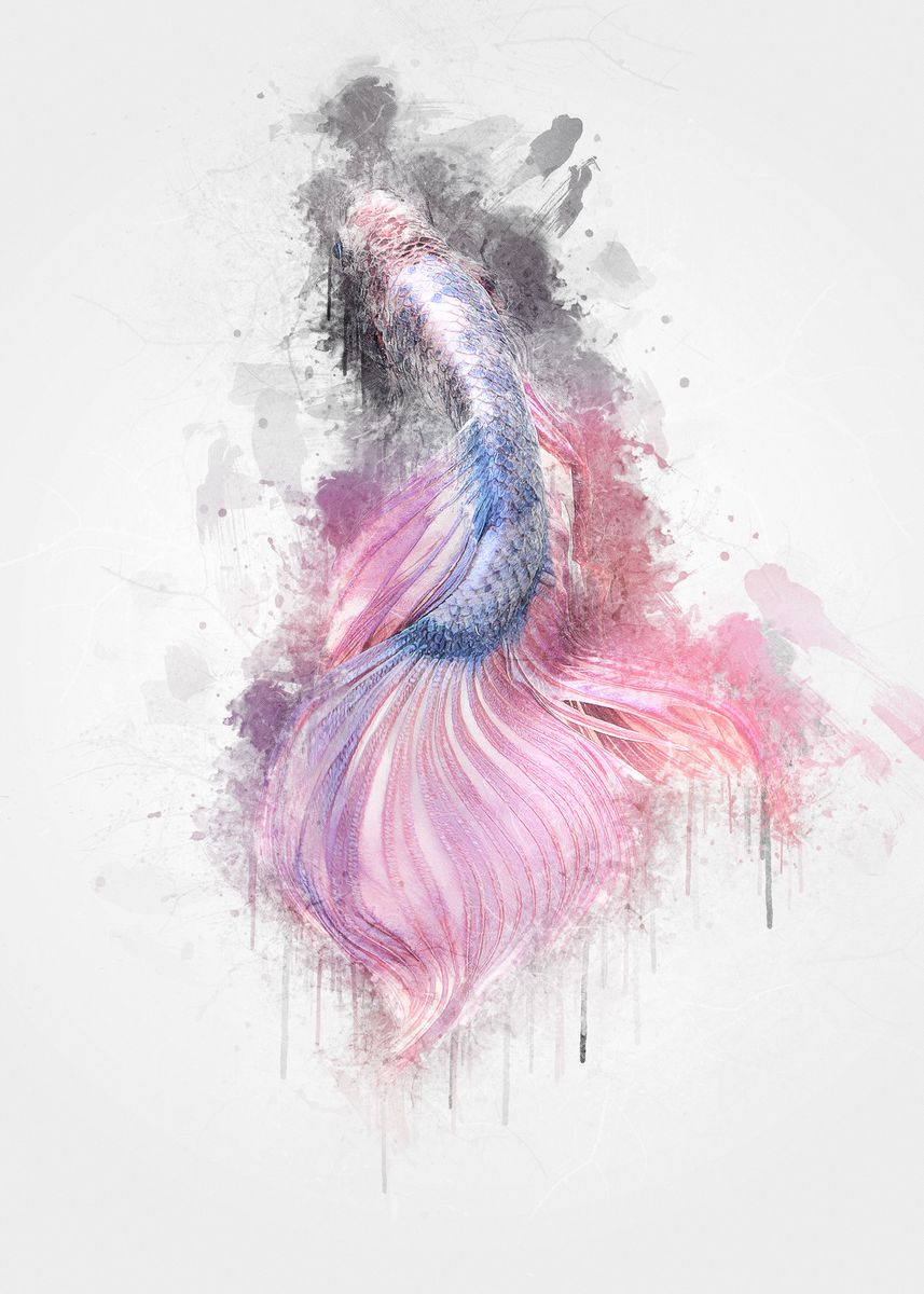 'Siamese Fighting Fish Art' Poster, picture, metal print, paint by ...