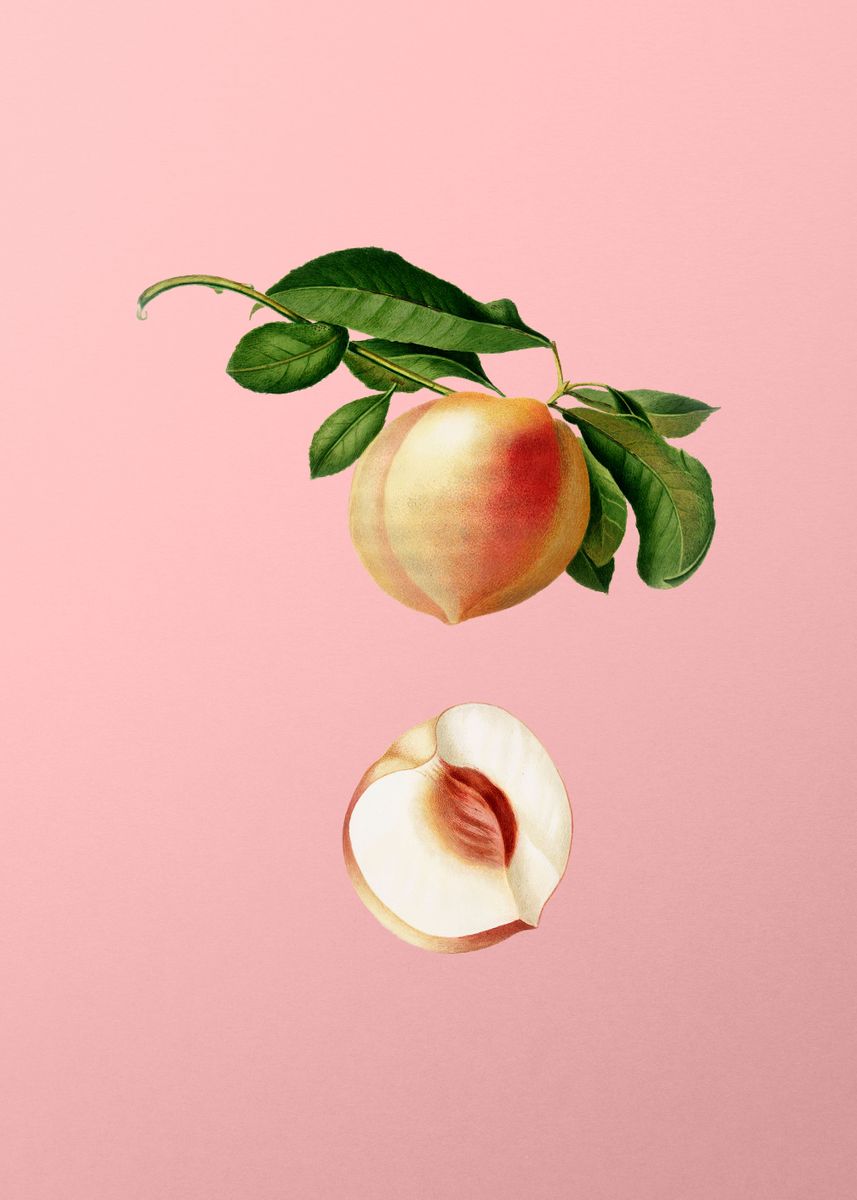 'Vintage Peach Fruit Food' Poster, picture, metal print, paint by Holy ...