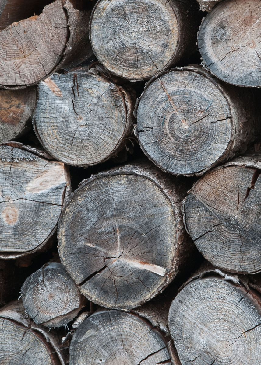 'Rustic Wood 1 ' Poster, picture, metal print, paint by Anita's & Bella ...