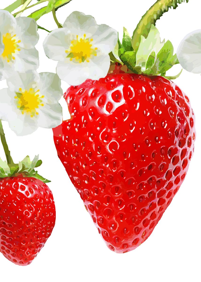 'Strawberries ' Poster, picture, metal print, paint by Green Goblin ...