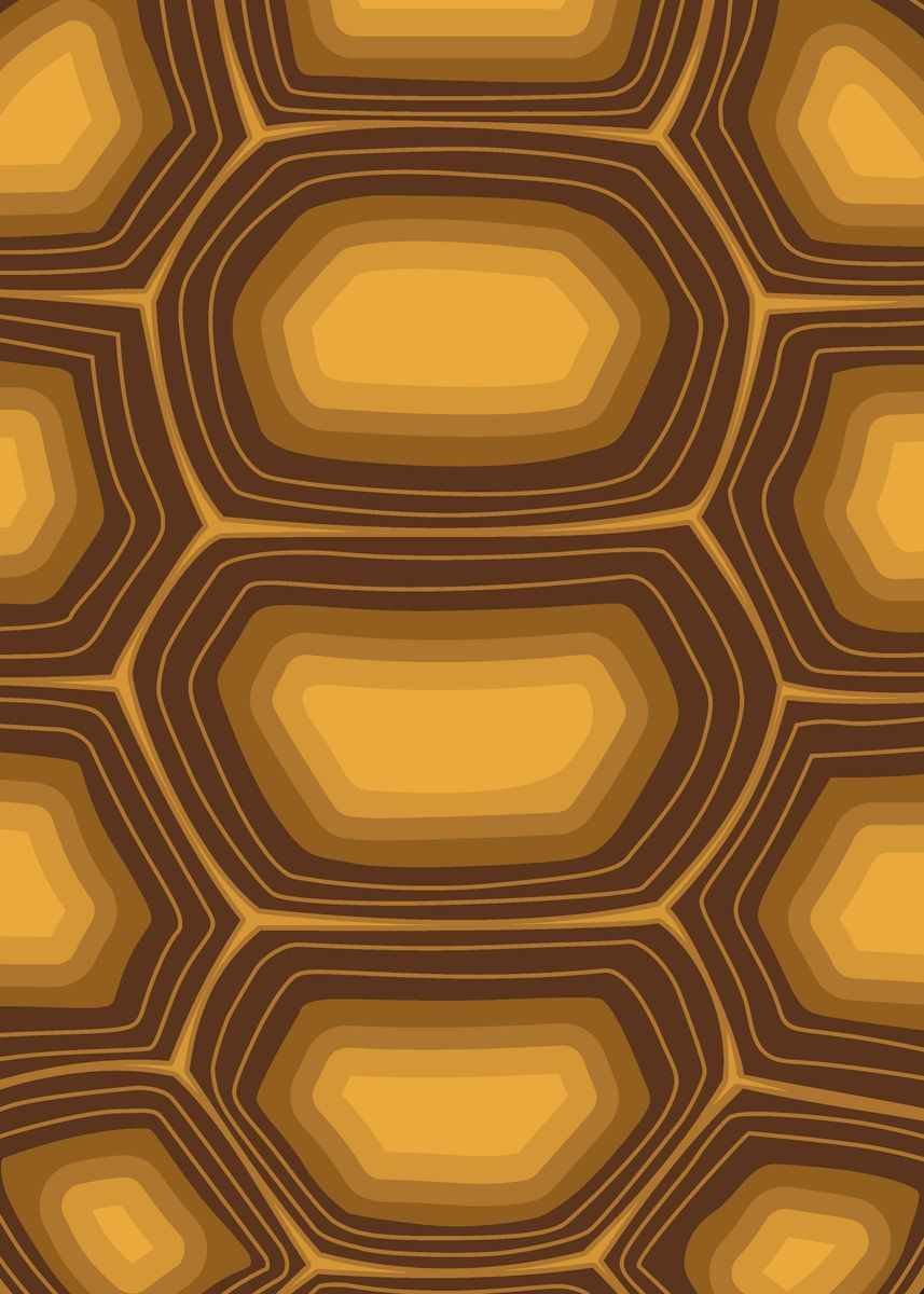 'sulcata tortoise shell' Poster, picture, metal print, paint by SATURA ...