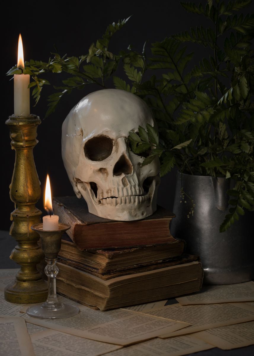 'Skull Still life' Poster by Donatella Loi | Displate