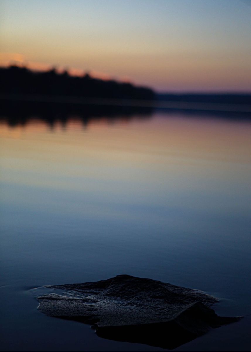 'Lake Life' Poster by Megan | Displate