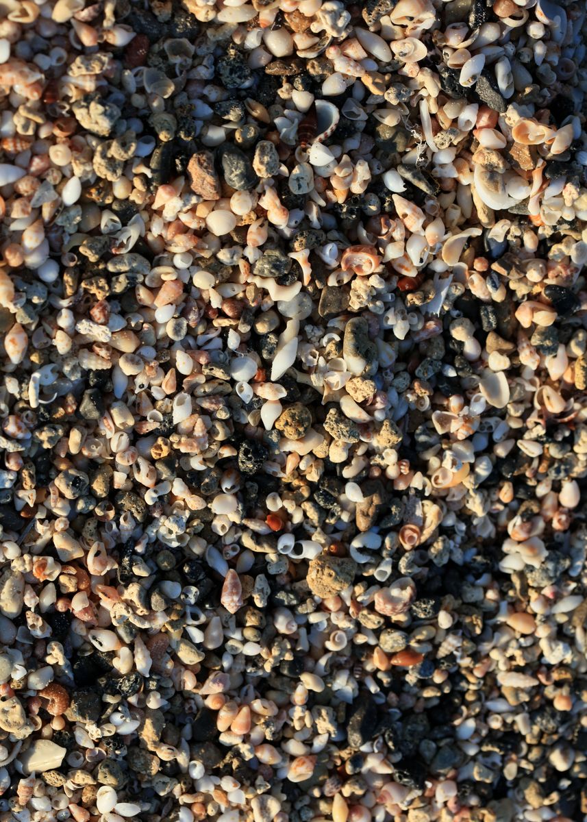 'Shells beach Elafonisi ' Poster by BakalaeroZz Photography | Displate