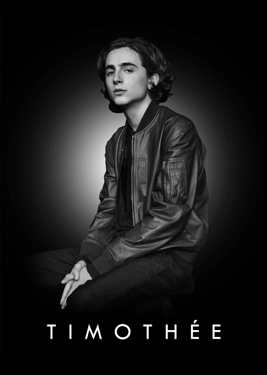 'Timothee Chalamet' Poster, picture, metal print, paint by Bo Kev | Displate
