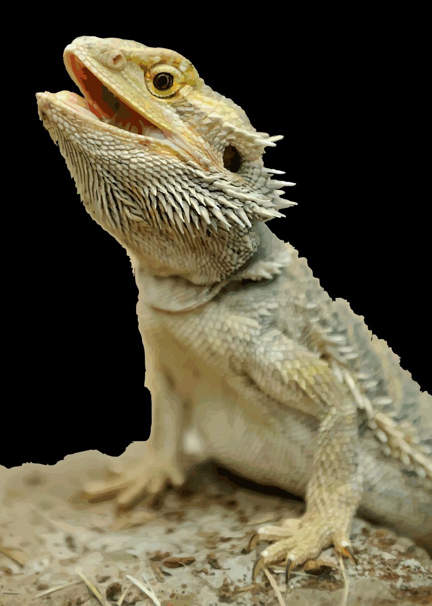 'Pogona genus Reptiles' Poster by valkry art | Displate