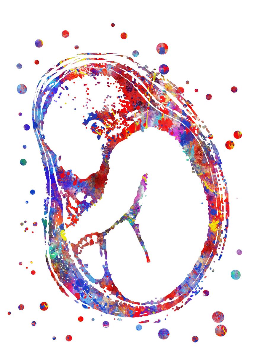 'Fetus ' Poster by RosaliasArt | Displate