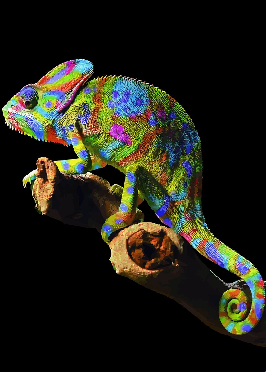 'Chameleons or chamaeleons ' Poster, picture, metal print, paint by Av ...