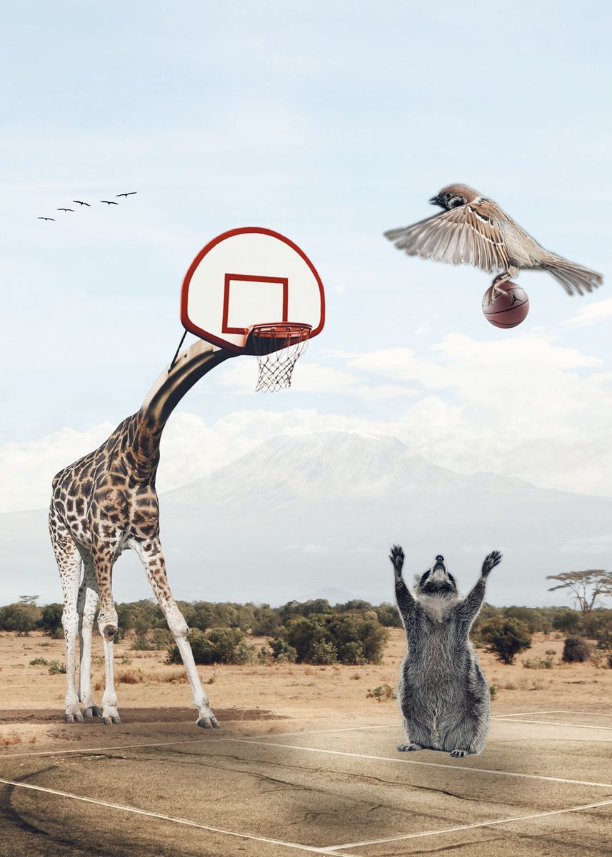 'Animal Basketball' Poster, picture, metal print, paint by Diego V ...