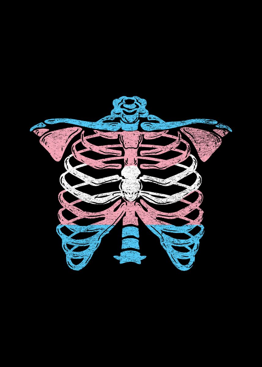 'Ribcage Trans Pride' Poster, picture, metal print, paint by ...