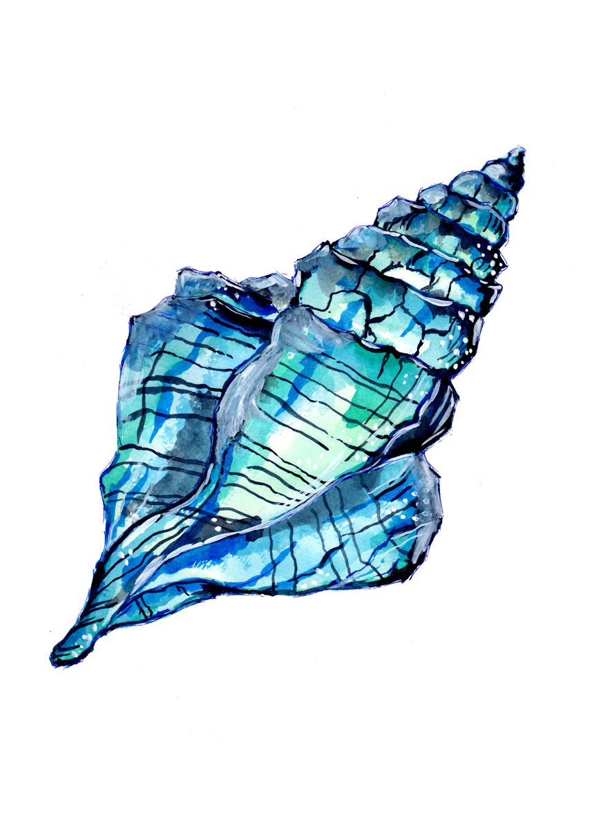 'Blue Conch Seashell' Poster by Sebastian Grafmann | Displate