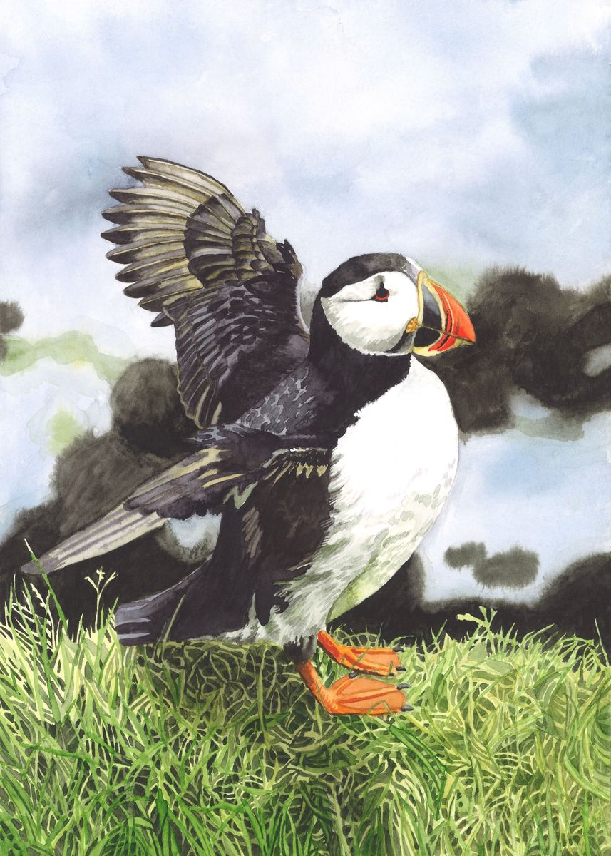 'Puffin Watercolor' Poster, picture, metal print, paint by Uniqueorn ...