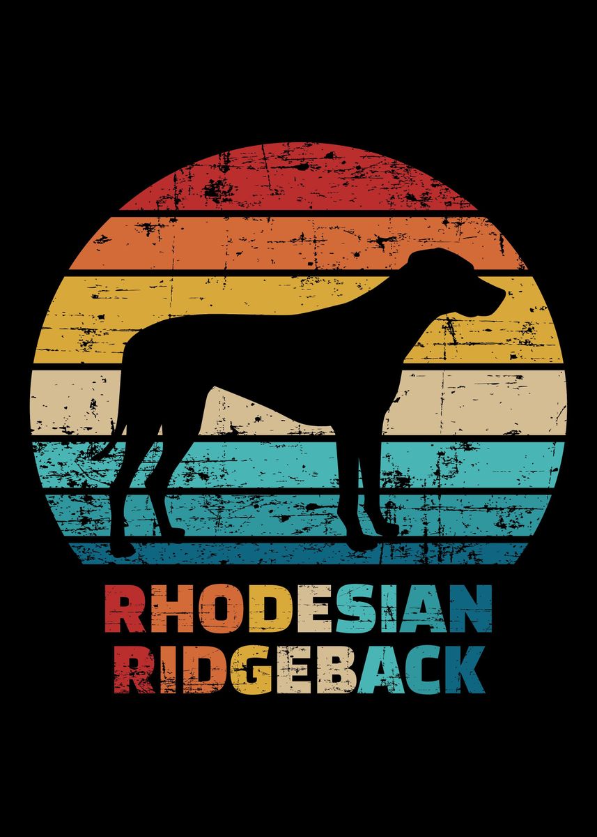 'Rhodesian Ridgeback' Poster, picture, metal print, paint by Designzz ...