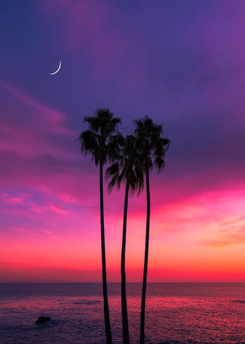 'Neon Sunset' Poster, picture, metal print, paint by Elmehdi Elalaoui ...