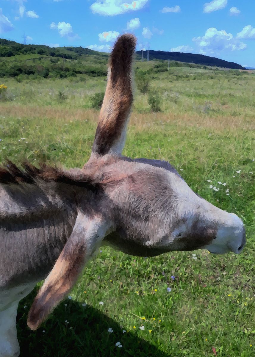 'Flying donkey' Poster by Edy Art Space | Displate