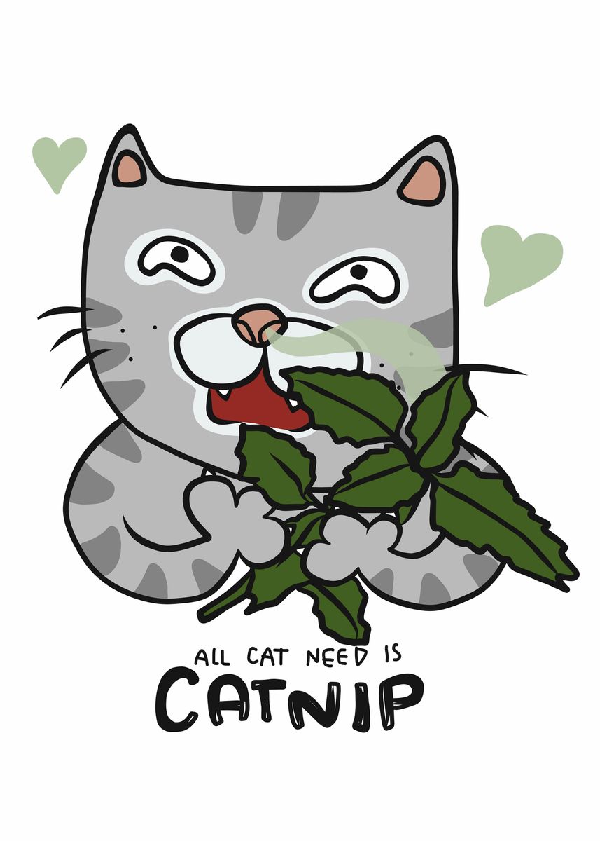 'Cat smell catnip cartoon' Poster, picture, metal print, paint by ...