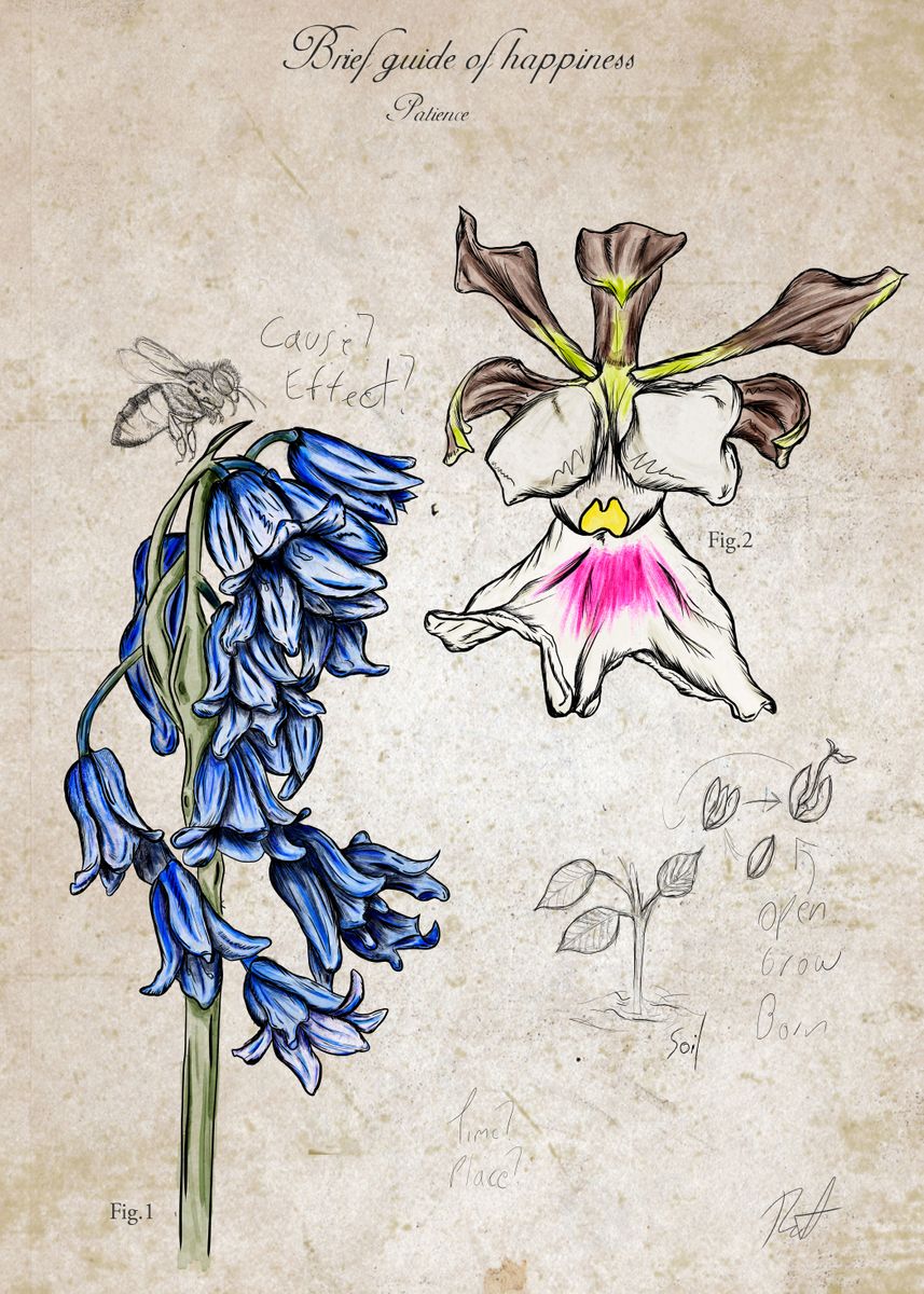 'Patience' Poster by Rafael Martínez | Displate