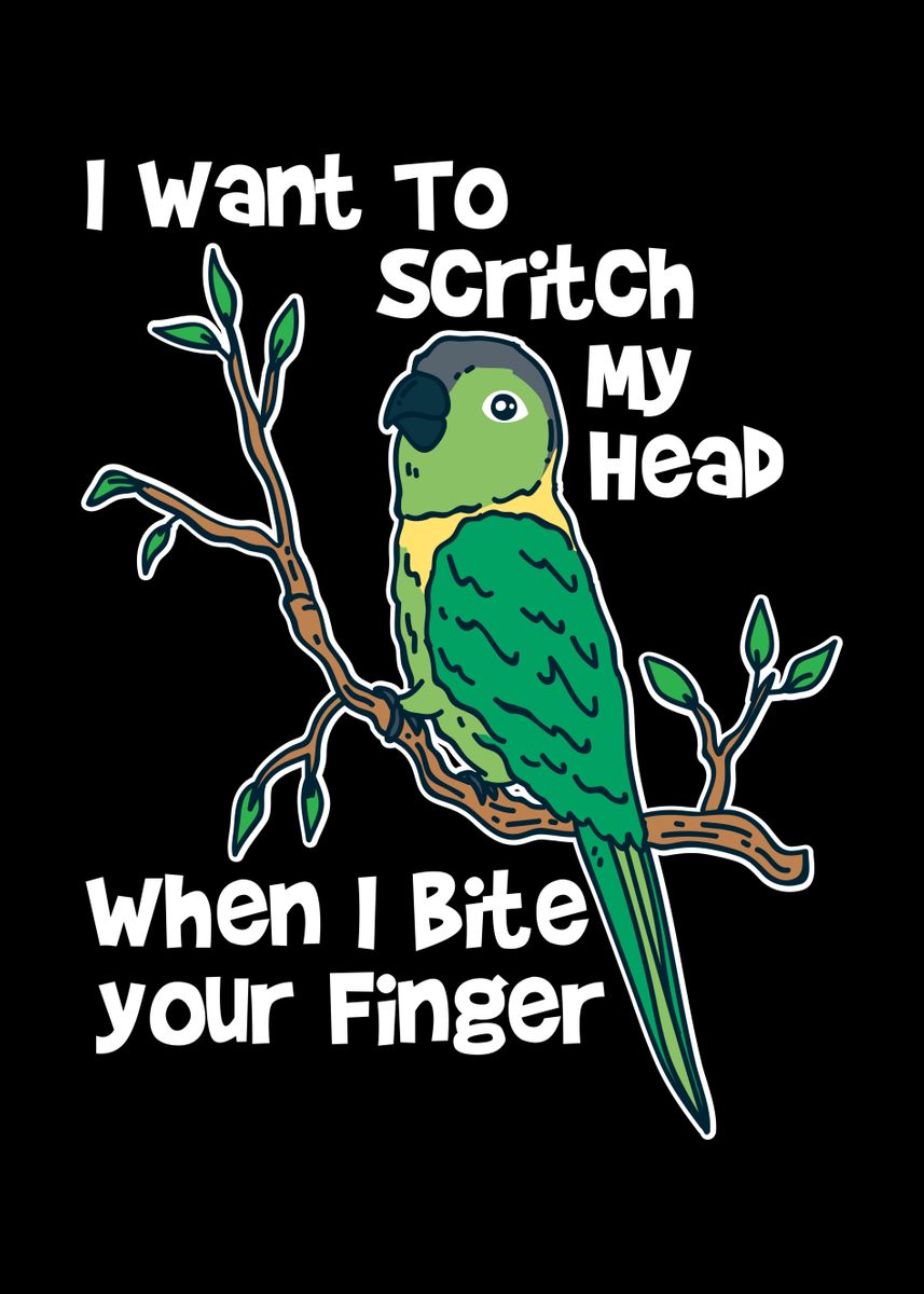 'Conure Bird' Poster, picture, metal print, paint by Shiva121 | Displate