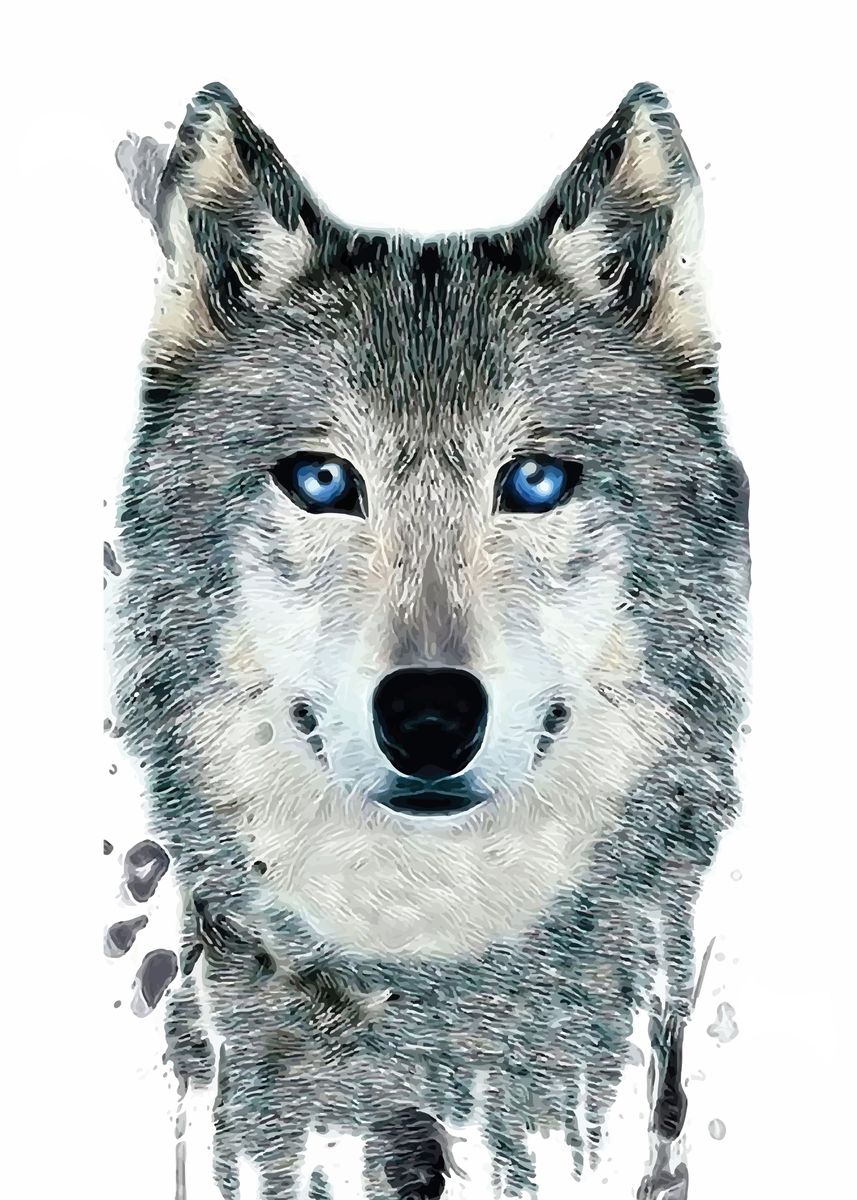 'Wolf Face Close Up' Poster by aliceq Animal | Displate