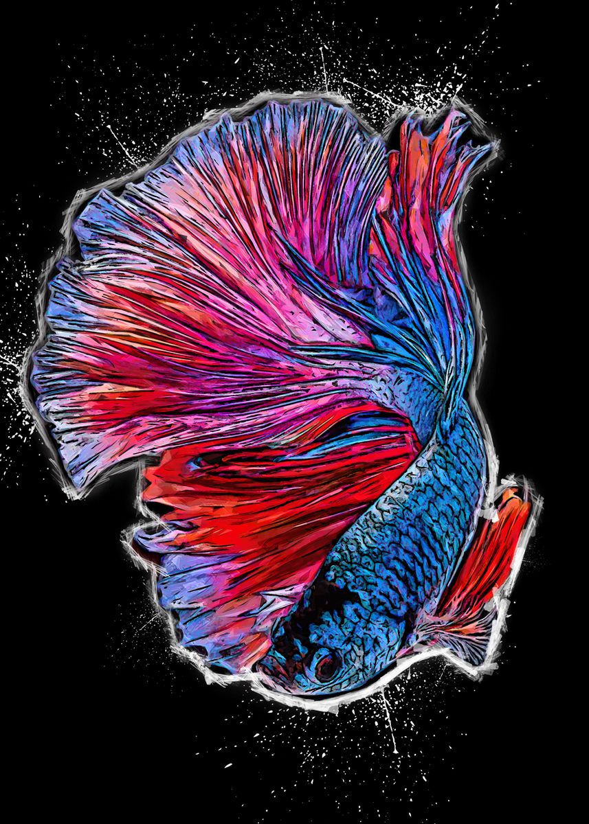 'betta fish' Poster, picture, metal print, paint by Lucky Boy | Displate