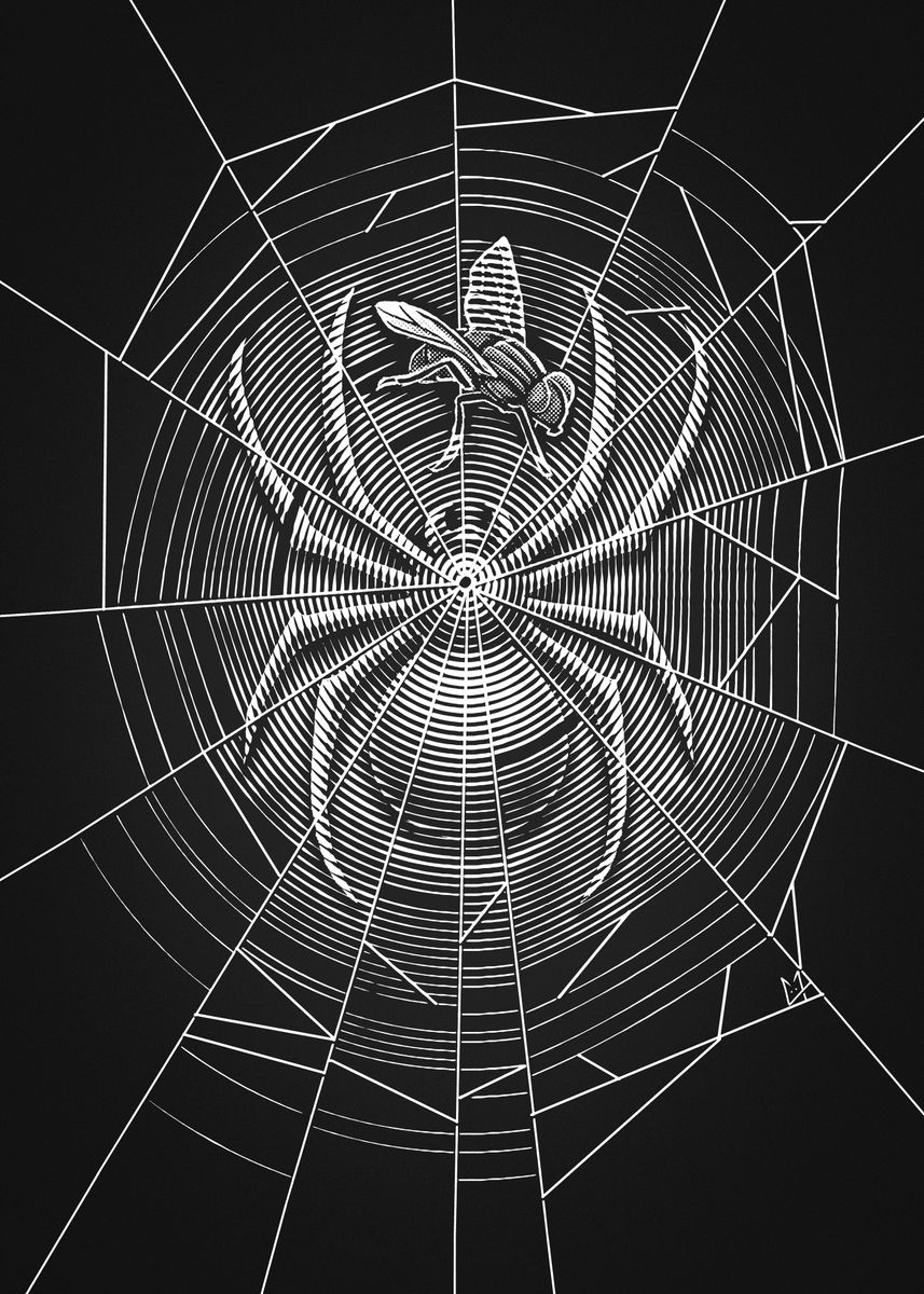 'Spider Web' Poster by Patrick Zedouard c0y0te7 | Displate